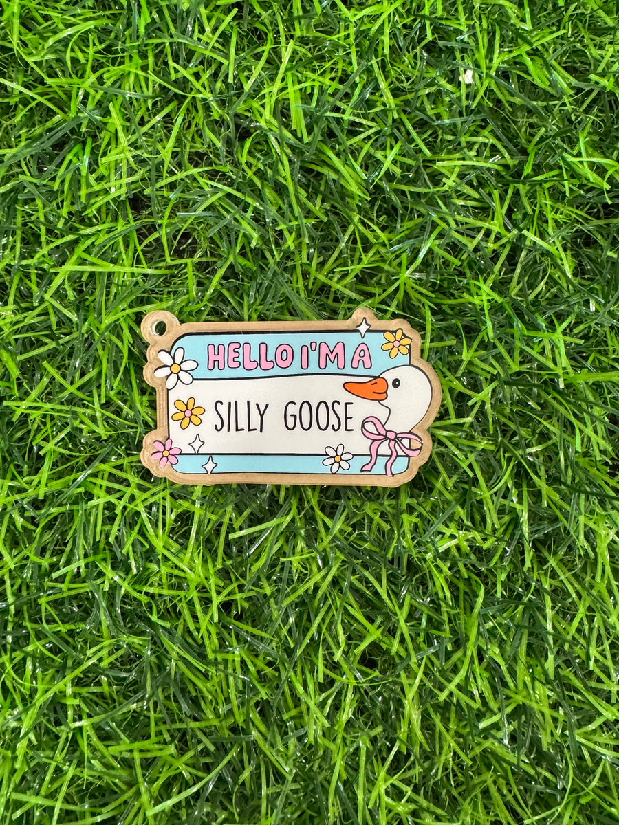 Silly Goose Acrylic Blank & Decal Set Collection – SG Designs By Danielle