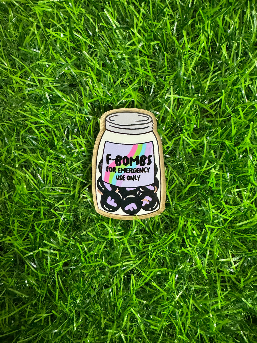 F-Bombs Acrylic Blank & Decal Set – SG Designs By Danielle